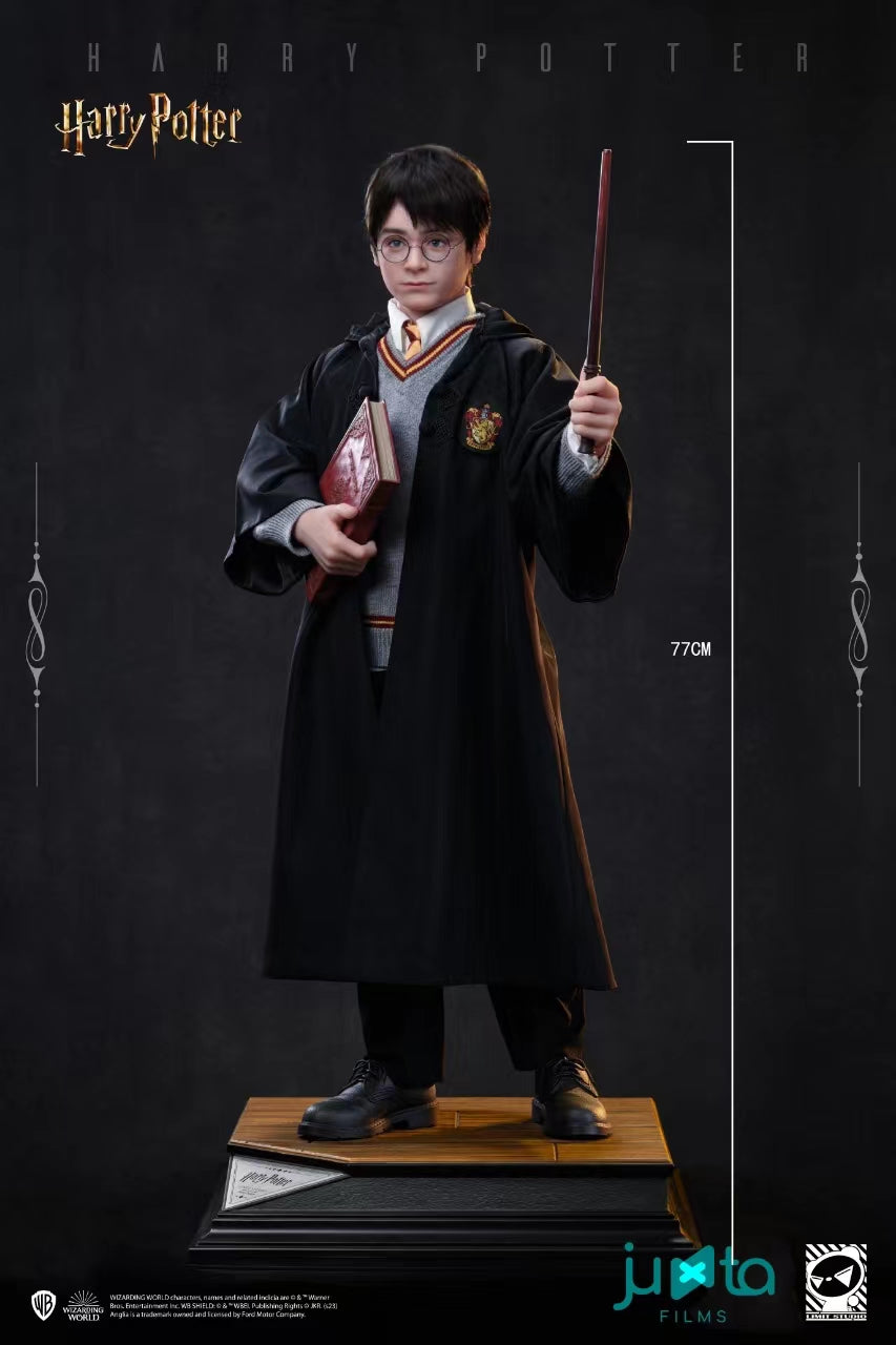 Harry Potter Limit Studio Harry Potter Licensed Resin Statue [PRE-ORDE
